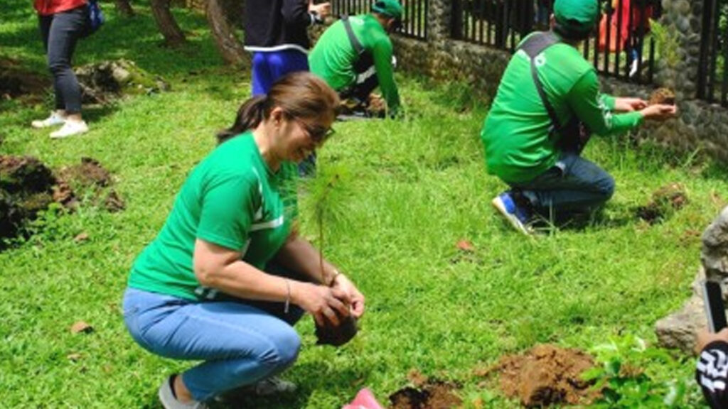 Baguio City Urges Forest-Tending Activities As Tree Planting Season ...