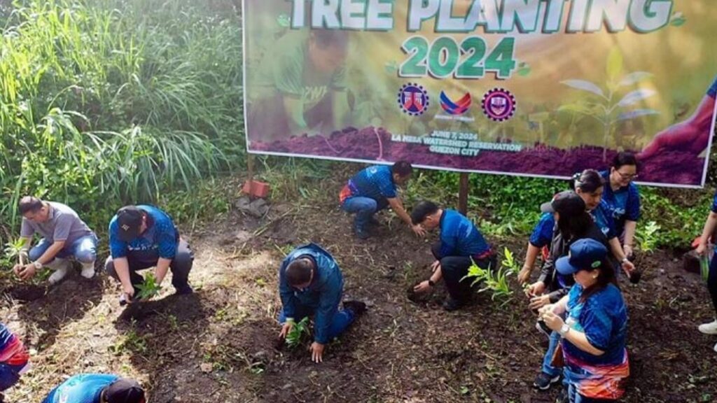 DPWH Plants 11K Tree Seedlings; Pledges To Help Protect Environment ...