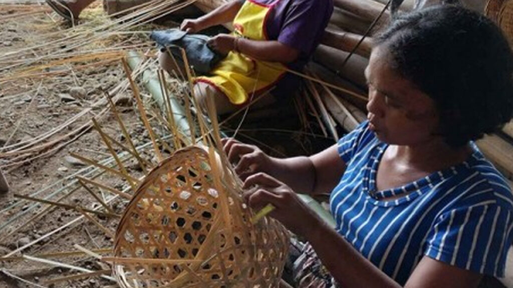 Iloilo Farmers Urged To Engage In Bamboo Growing - Society Magazine